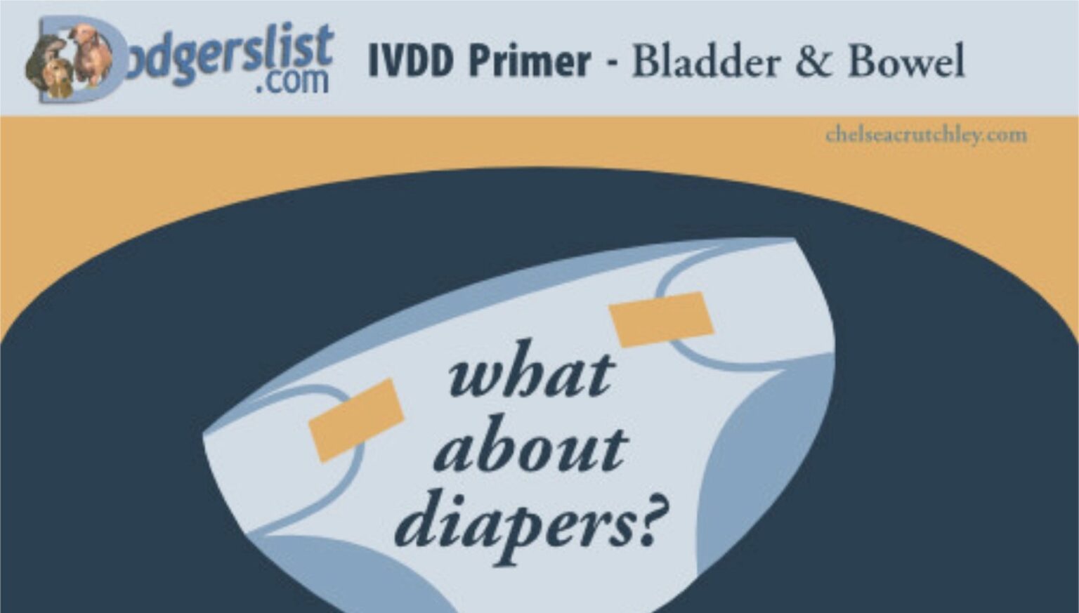 Prev Wheelchairs for mobility