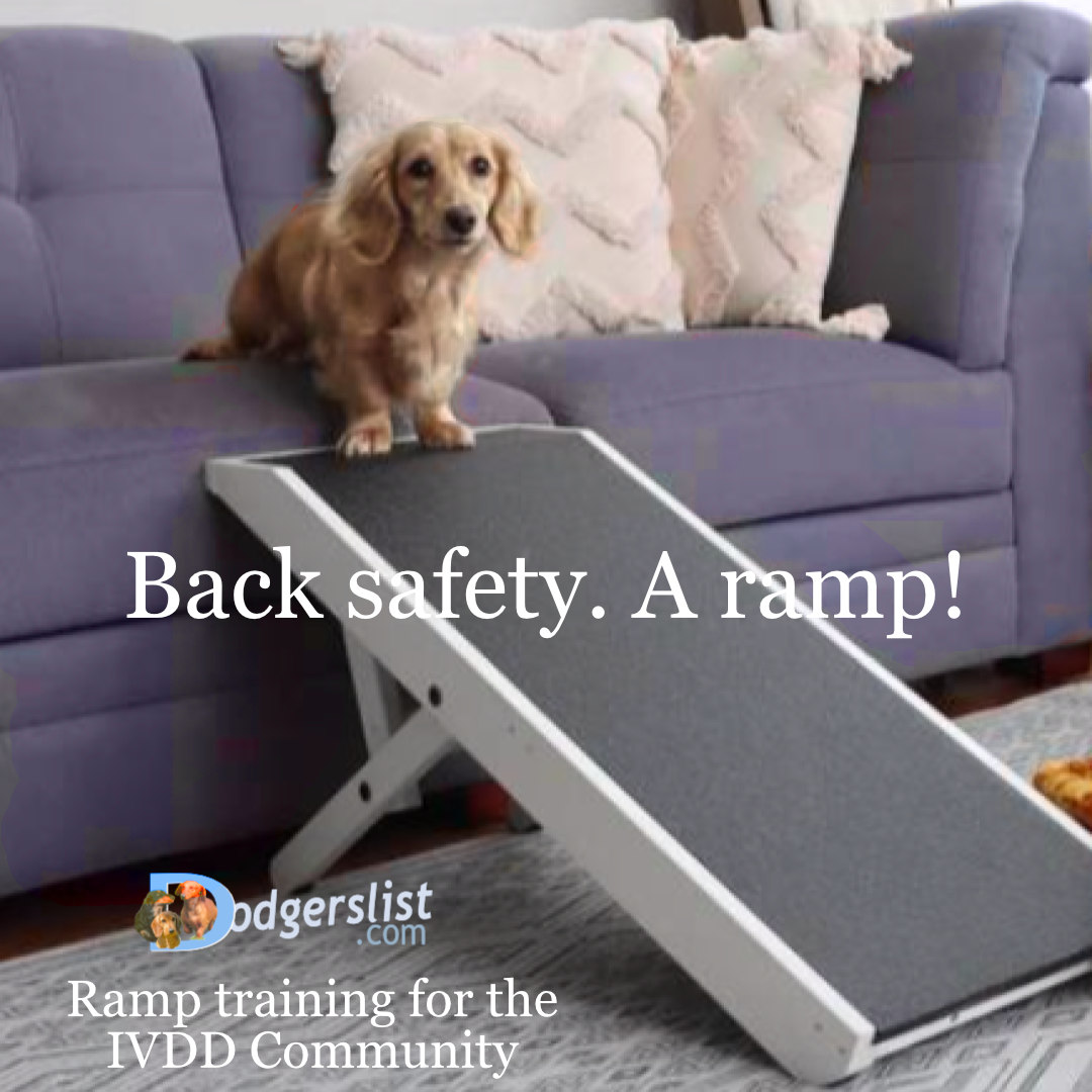 FYI: 15%D ( BACKSAFETY15) Ramp courtesy from Crusoe, CEO of the Doggo Ramps